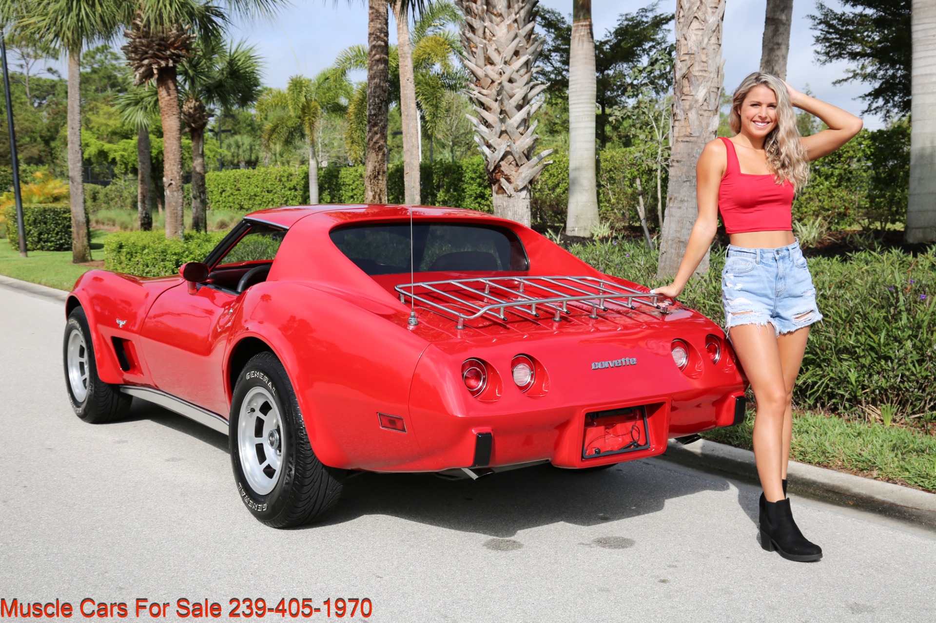 Used 1977 Chevrolet Corvette T Top Corvette For Sale ($19,000) | Muscle ...