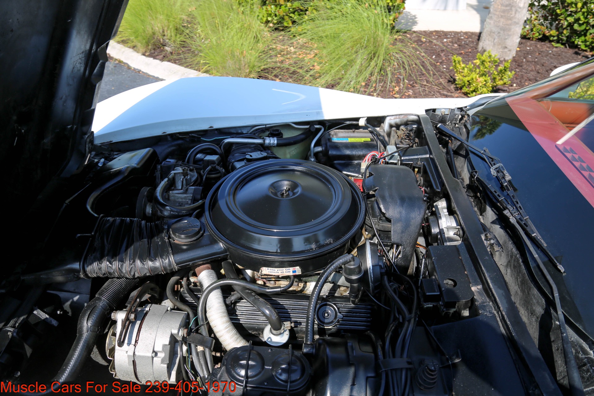 Used 1981 Chevrolet Corvette For Sale ($16,500) | Muscle Cars for Sale ...