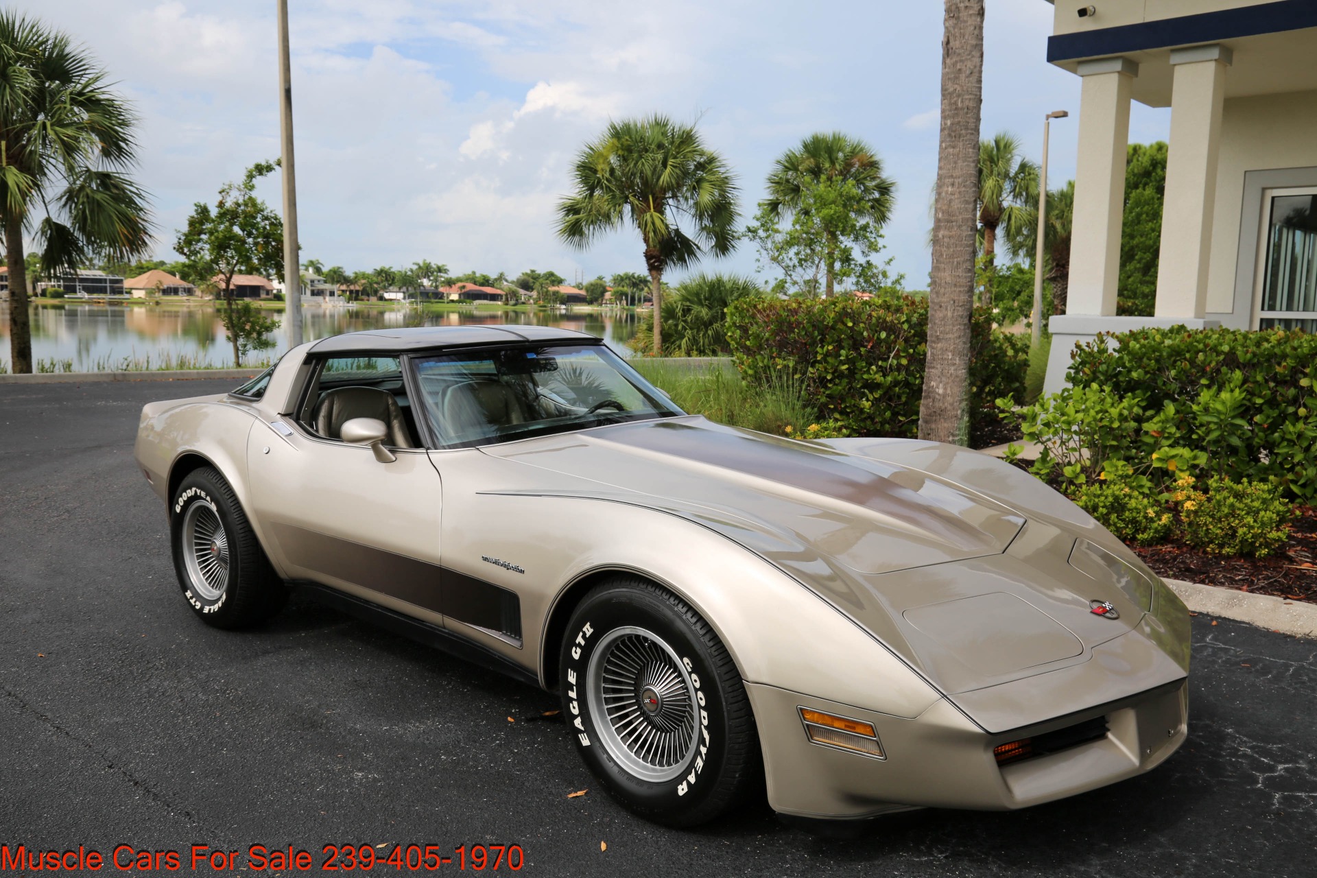 Used 1982 Chevrolet Corvette Collector Edition For Sale ($19,500 ...