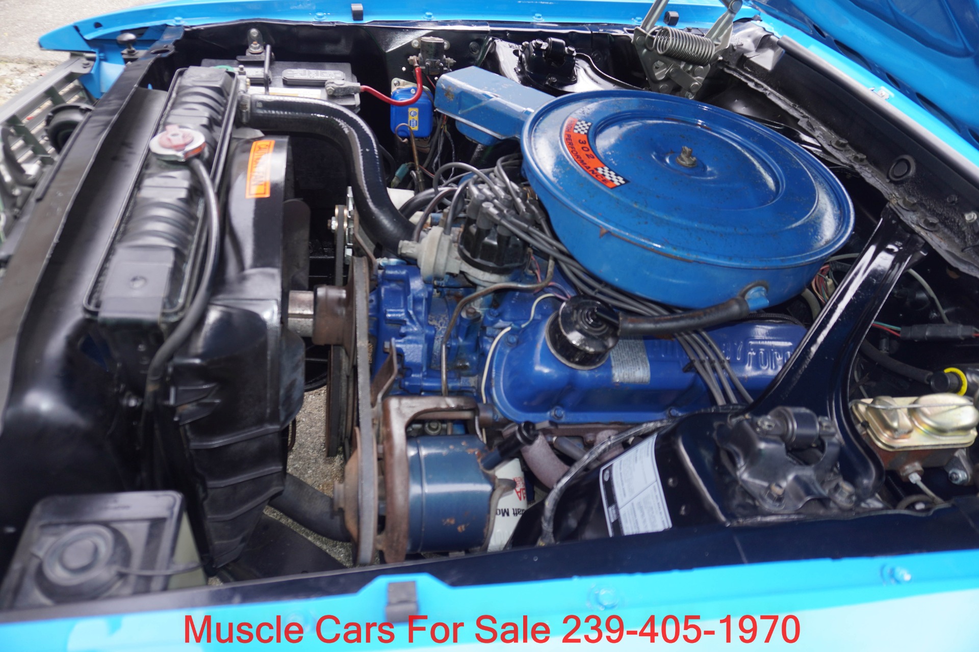 Used 1970 Ford Mustang Fastback For Sale ($43,000) | Muscle Cars for ...